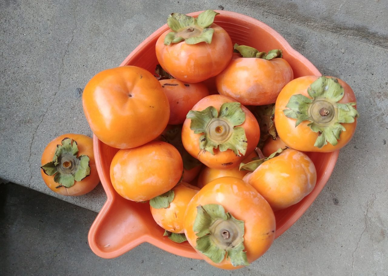 What To Eat In Autumn The Hutong what-to-eat-in-autumn-the-hutong